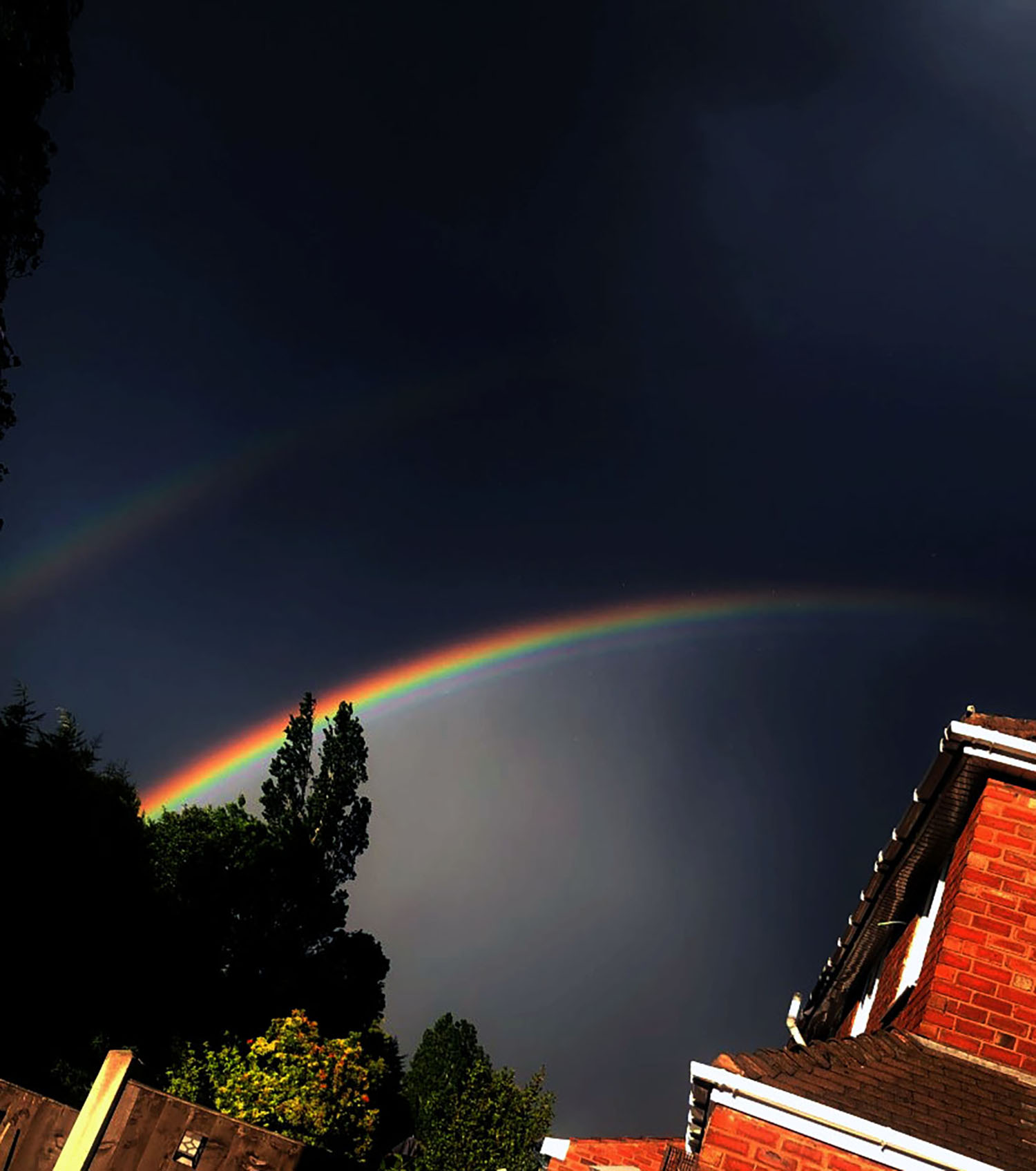 Olivia Rhoden Best Six Images - Artsfest