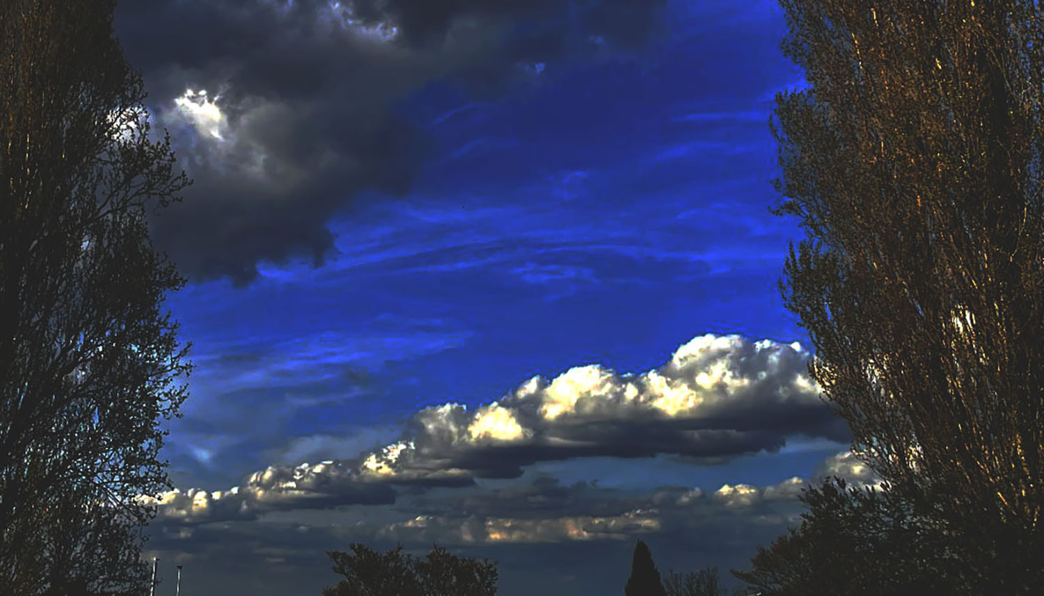 Olivia Rhoden Best Six Images - Artsfest